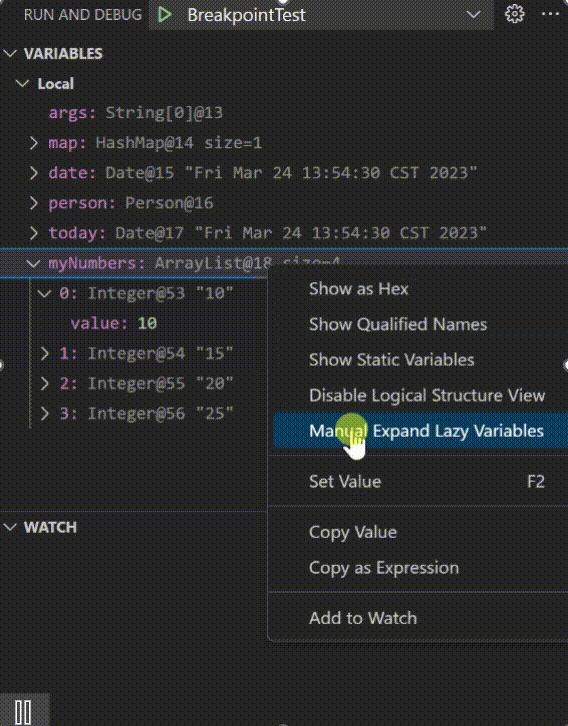 Java On Vs Code 更新 2023年4月:maven Profile的支持,调试体验的优化,java Project