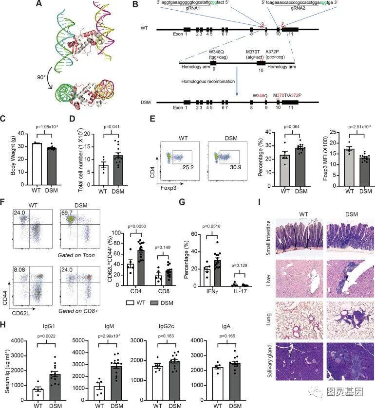 Nat Comm | Treg染色质结构塑造者Foxp3有望成为免疫治疗新靶点 - 知乎