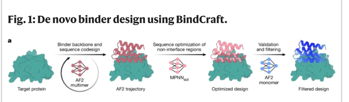 在AutoDL平台使用BindCraft进行结合蛋白设计 - 知乎