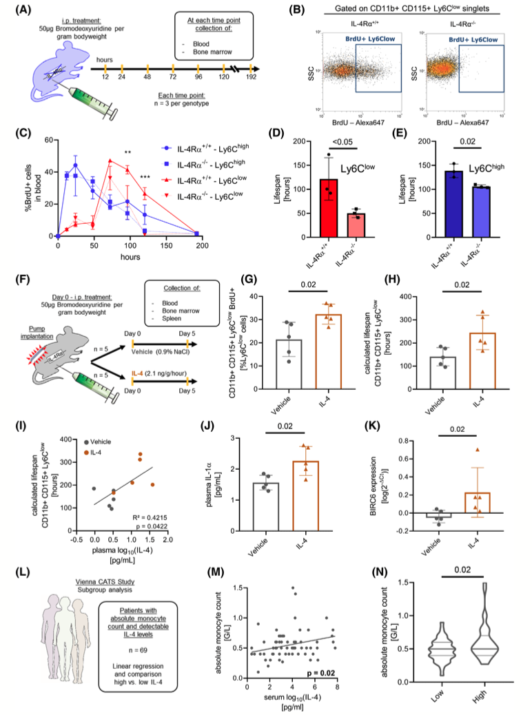 FASEB丨探索IL-4α在单核细胞中的作用 - 知乎