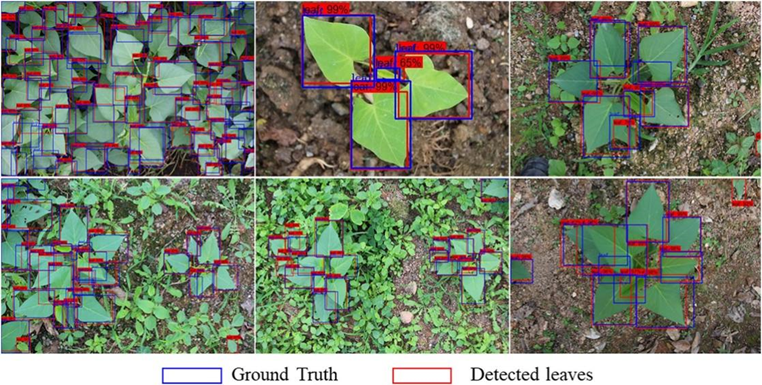 基于注意力机制和DIoU-NMS的Faster R-CNN对自然场景中红薯叶进行检测 - 知乎
