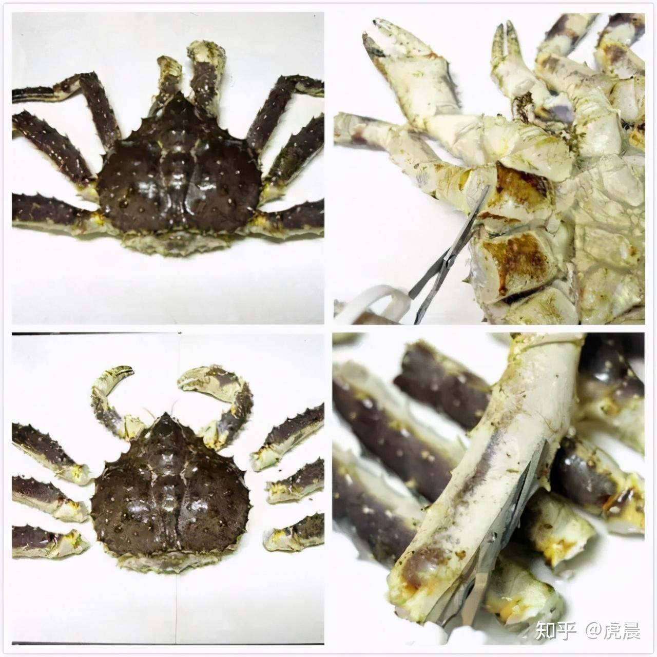 揭秘俄罗斯帝王蟹：市场、新格局，鲜美食材背后有看不到的博弈 - 知乎