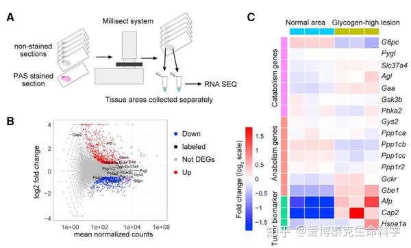 重磅 ！ABclonal RNA-seq产品再次荣登《Cell》 - 知乎