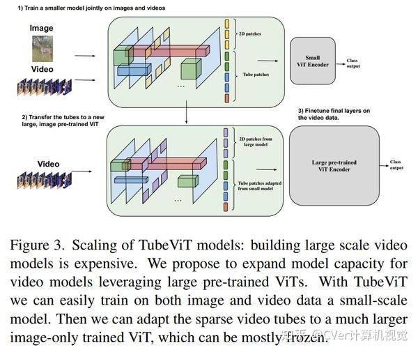 屠榜各大视频理解数据集！谷歌提出TubeVit：联合图像和视频学习的稀疏视频Tubes - 知乎