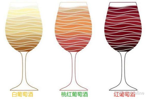 2022葡萄酒(红酒)入门知识科普,好喝不贵的红酒推荐,新手入坑必看! 知乎