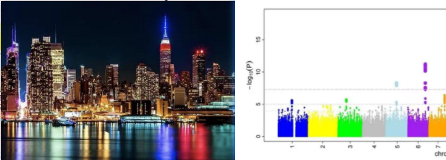GWAS分析中QQ图和曼哈顿图如何看？ - 知乎
