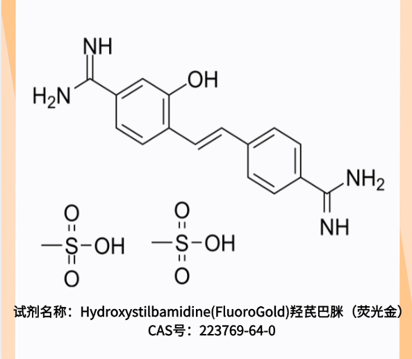 Hydroxystilbamidine(FluoroGold)：是一种阳离子染料 - 知乎