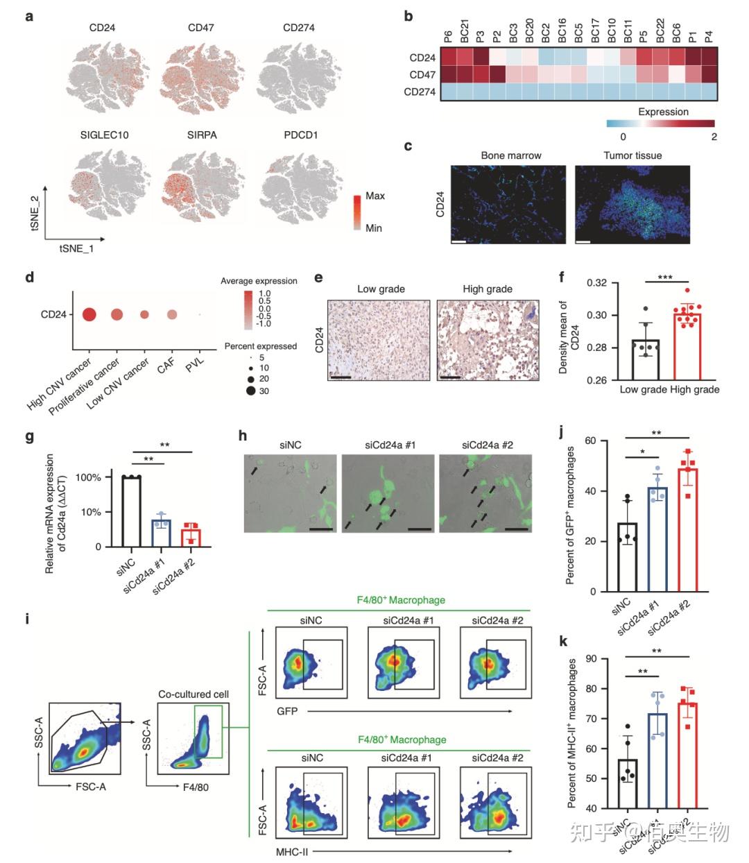 单细胞加免疫双管齐下，干湿结合发13分+1区SCI - 知乎