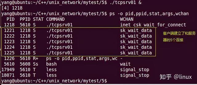 linux下wait/waitpid处理僵死进程详解(SIGCHLD信号) - 知乎