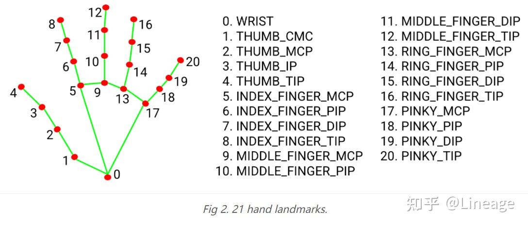 【PyTorch深度学习项目实战100例】—— Python+OpenCV+MediaPipe手势识别系统 | 第2例 - 知乎