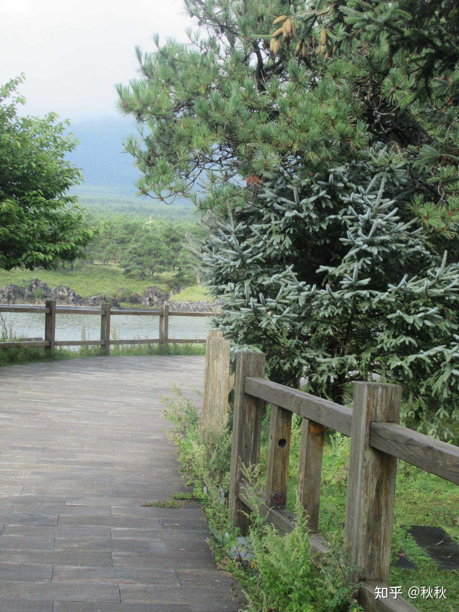 玉龙雪山（云杉坪、蓝月谷）旅游攻略 - 知乎