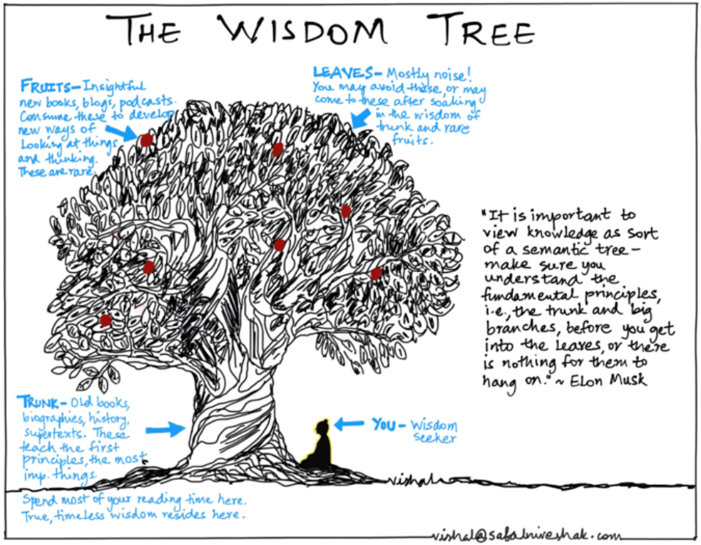 2023年度总结—追逐智慧理性之美 - 知乎