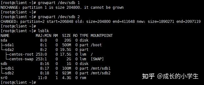 服务器磁盘告急？growpart命令助你轻松扩容 - 知乎