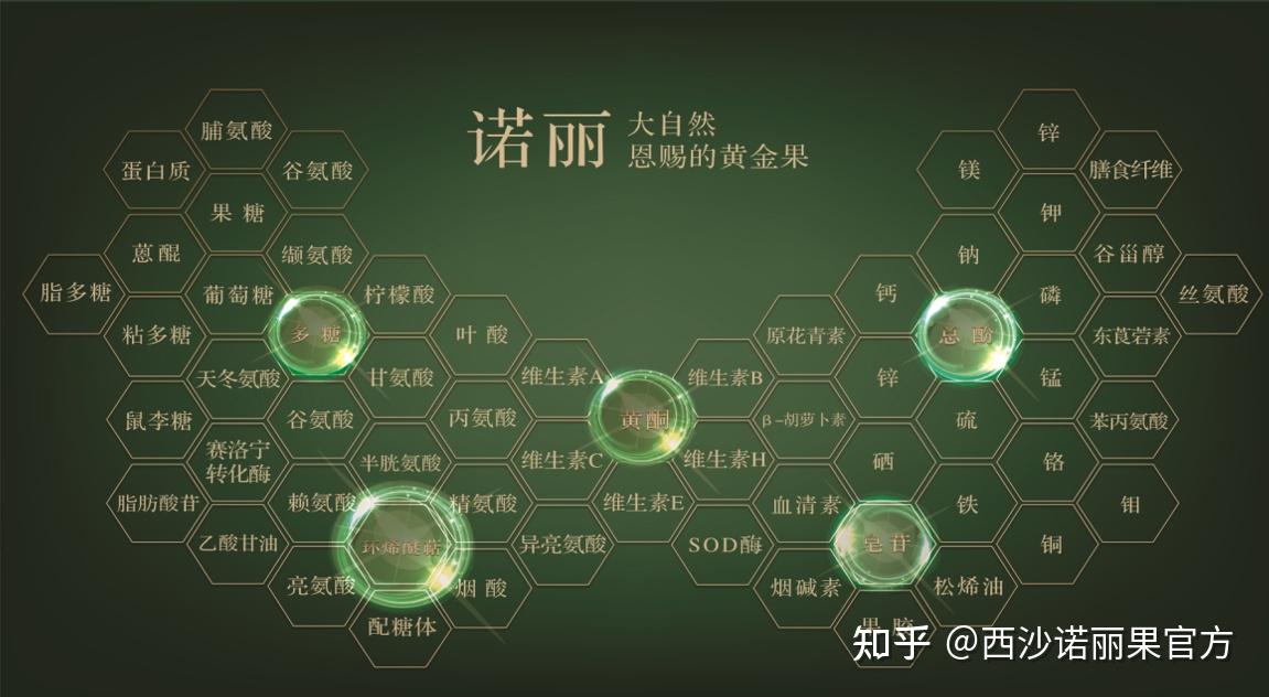 诺丽果是什么？西沙诺丽果，健康有机的神奇水果 - 知乎