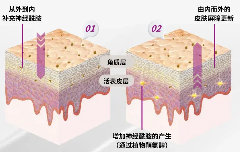 国际原料巨头④--Evonik赢创，神经酰胺产品创新的领航者 - 知乎