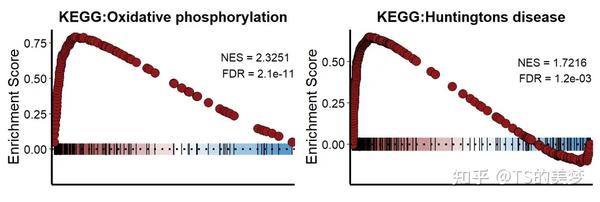 复现Nature图表：GSEA分析及可视化包装函数 - 知乎
