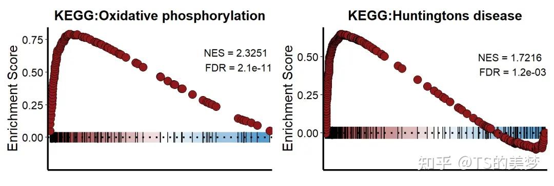 如何解读 gsea 分析结果？ - 知乎