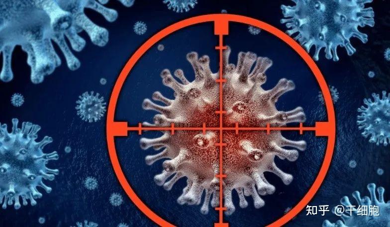 CIK细胞和NK细胞有什么不同？ - 知乎