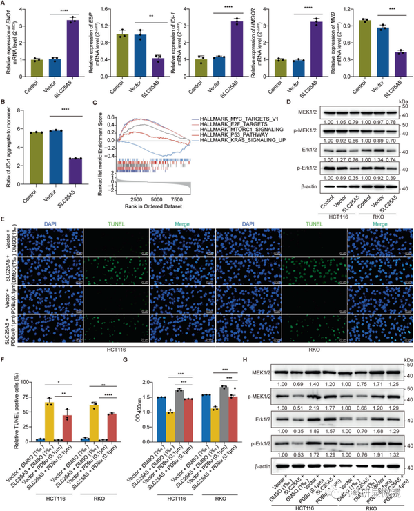 单基因玩腻了？要不试试基因家族？基因家族单肿瘤SCI新玩法！ - 知乎