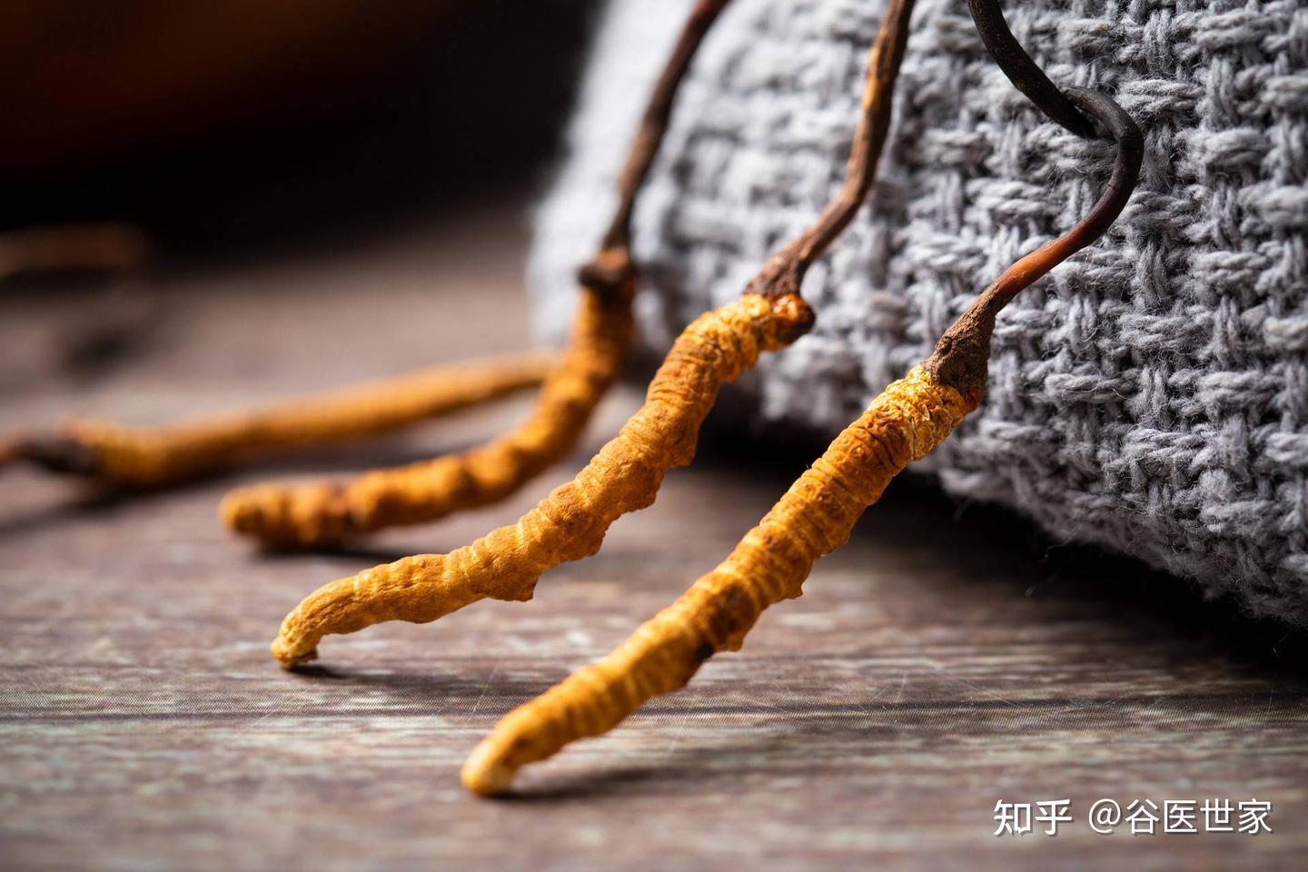 详细解读冬虫夏草，蛹虫草以及虫草花的区别 - 知乎