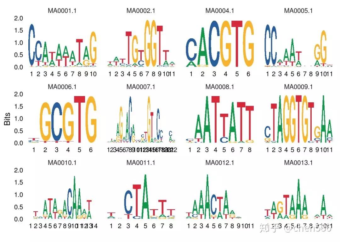 R包ggseqlogo |绘制序列分析图 - 知乎