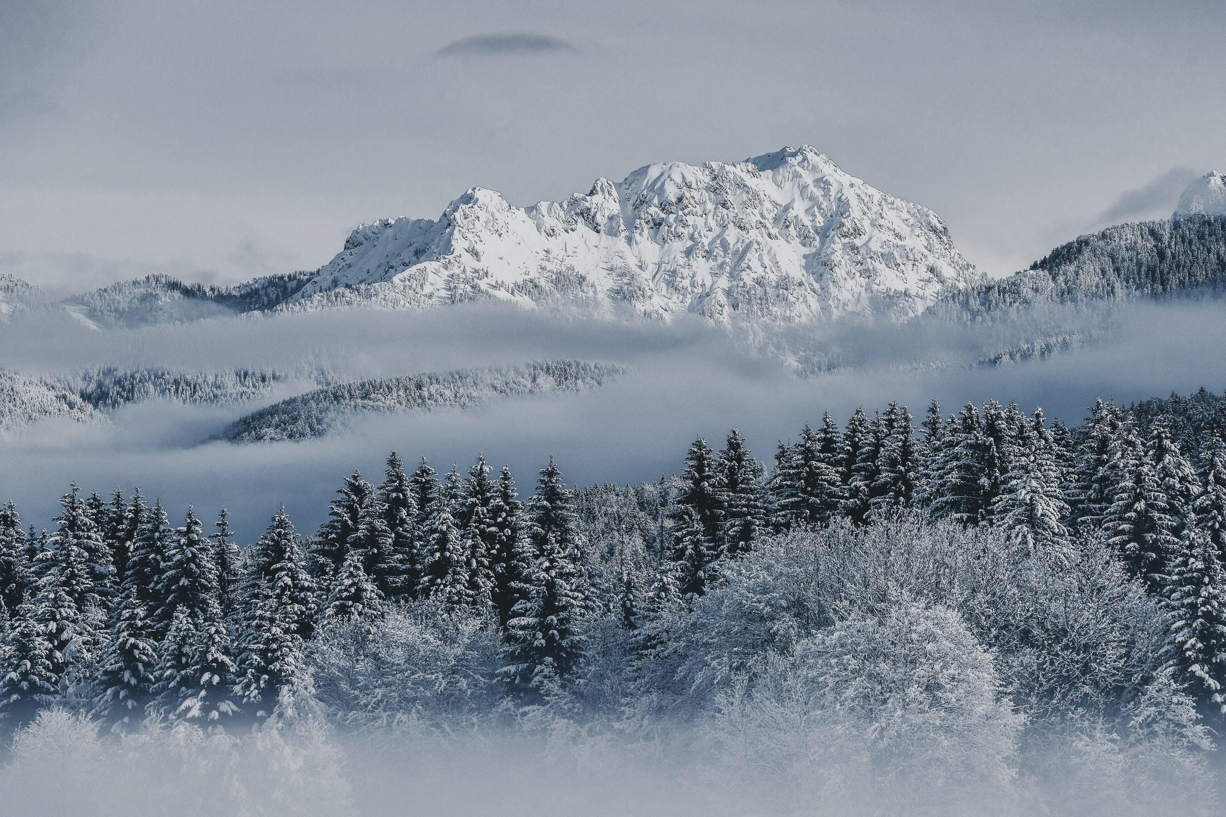 4K、高清壁纸分享 - 知乎