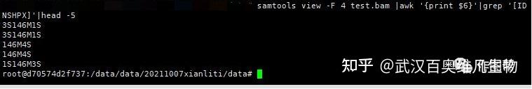 比对软件|Samtools - 知乎