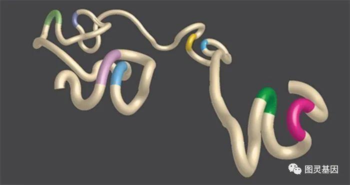 Nat Comm | Treg染色质结构塑造者Foxp3有望成为免疫治疗新靶点 - 知乎