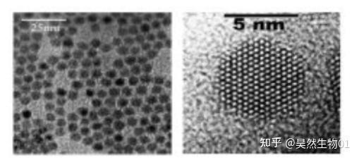 CQDs-NH2黄色碳点/碳量子点(carbondots,C-dots)氨基化，发射570nm - 知乎
