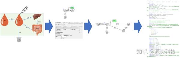 WinNonlin案例：PML系列（8）——肝肠循环 - 知乎