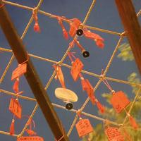 AttributeError: module 'torch' has no attribute '_version_' - 知乎