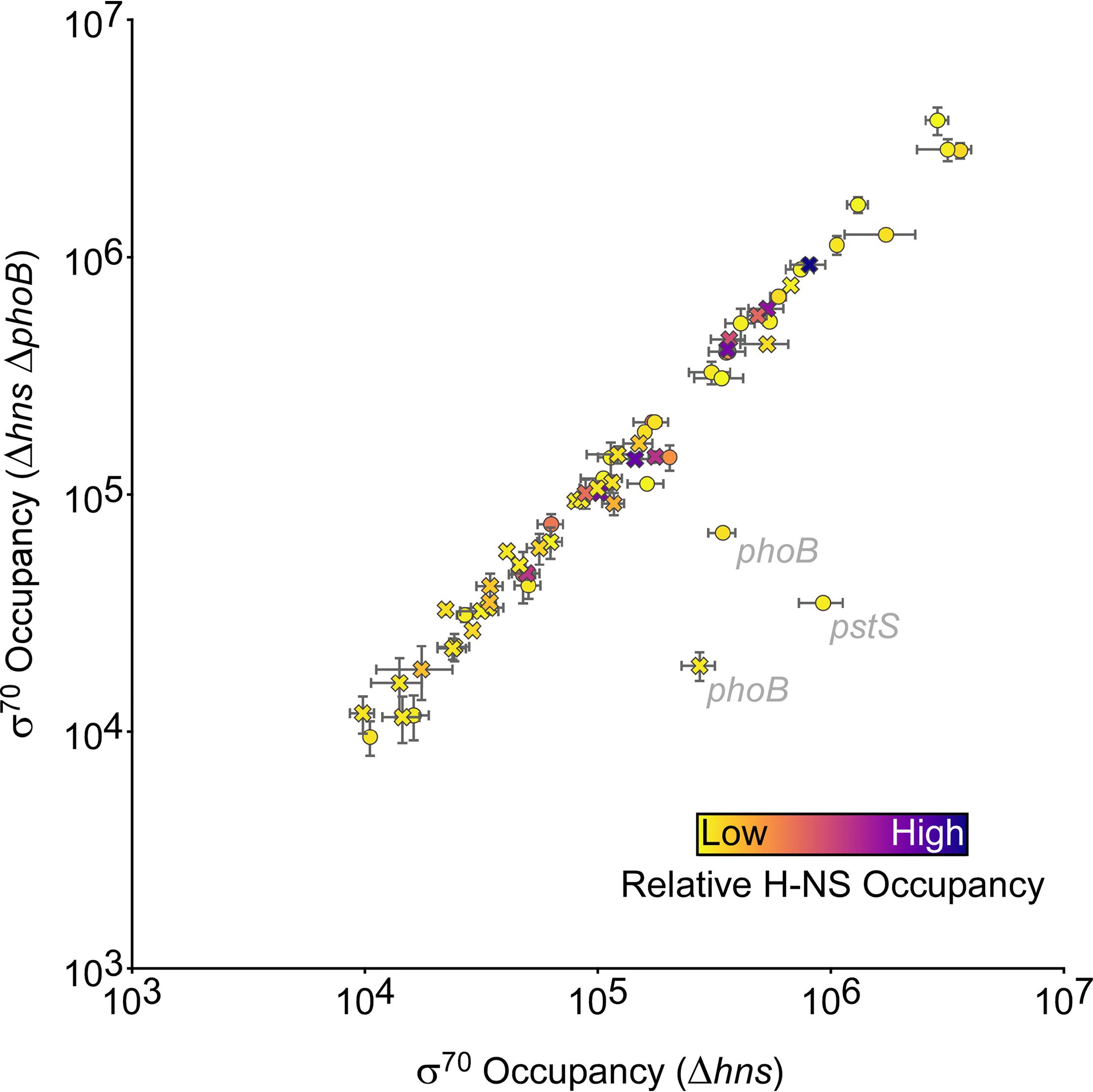 蛋白质DNA互作研究，选ChIP还是CUT&Tag? - 知乎