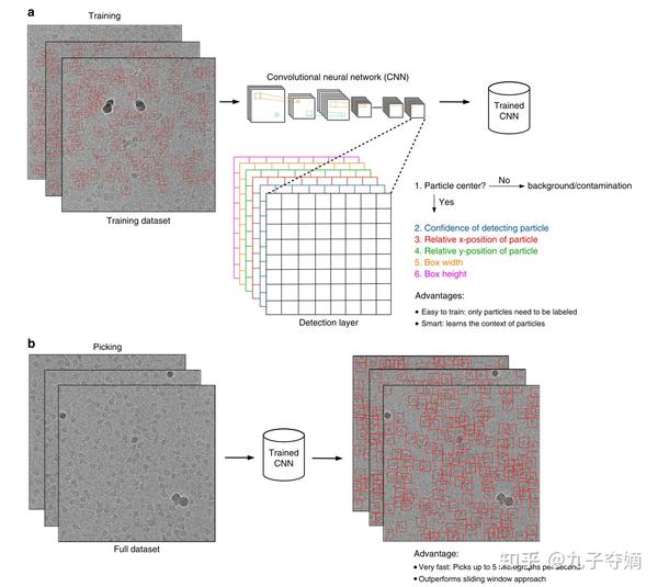 crYOLO：快速准确的全自动颗粒挑选方法 - 知乎