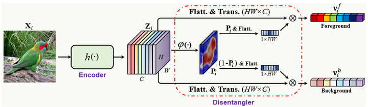 CCAM:Contrastive learning of Class-agnostic Activation Map for WSOL and WSSS-CVPR2022 - 知乎