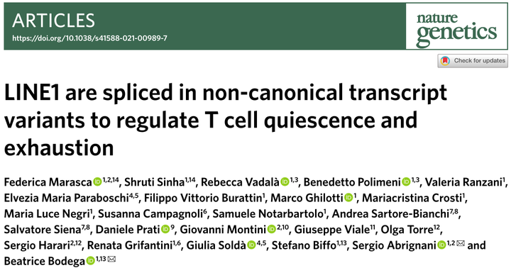 LINE1 are spliced in non-canonical transcript variants to regulate T cell quiescence and ...