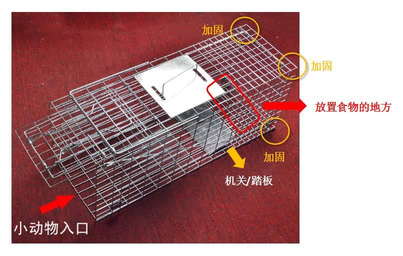 为什么要给猫咪做TNR？有一种爱叫TNR。 - 知乎