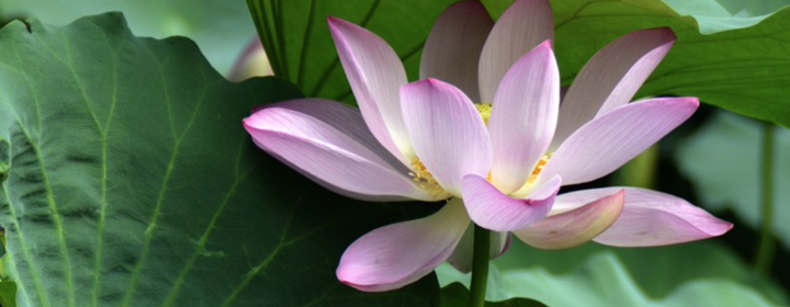 pytext文本分类小试 - 知乎