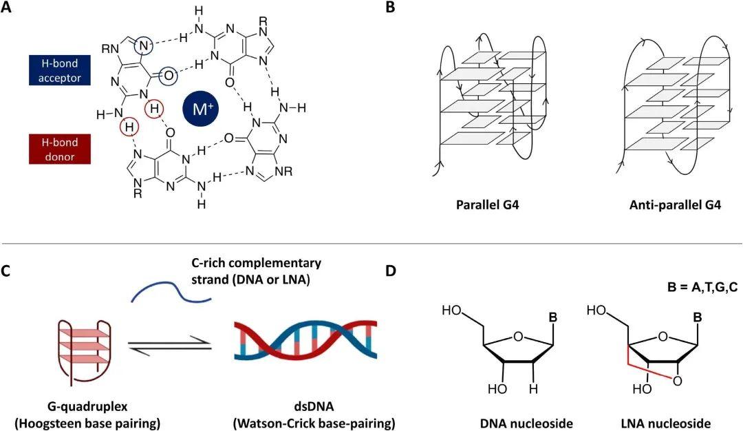 锁核酸：LNA - 知乎