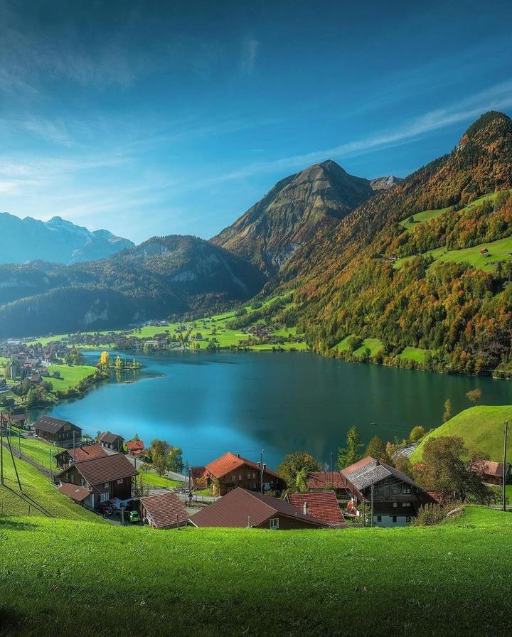 大语言模型智能体与社会网络仿真系统 - 知乎