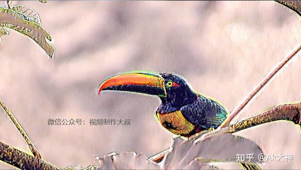 AE/Pr插件:StyleX汉化版,一键实现实景转动漫卡通效果 - 知乎