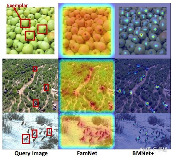 Represent, Compare, and Learn: A Similarity-Aware Framework for Class-Agnostic Counting - 知乎