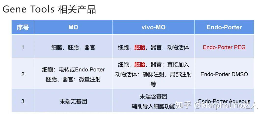 Gene Tools｜Morpholino的基因敲降原理简析 - 知乎