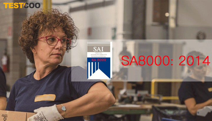 SA8000：2014 社会责任标准-附SA8000:2014 Standard PDF下载 - 知乎