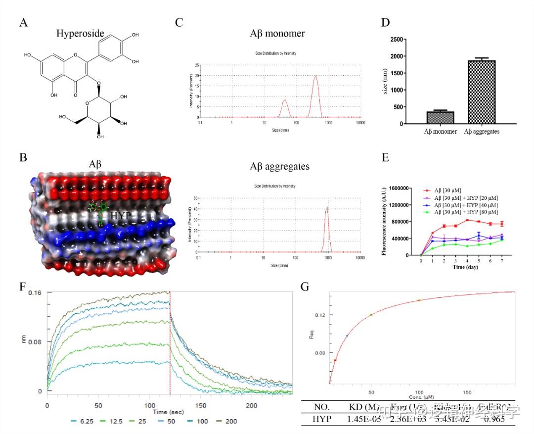 Redox Biol︱澳门科技大学罗婉君团队揭示金丝桃苷通过内质网-线粒体Ca2+信号转导级联减轻阿尔茨海默症Aβ毒性作用机制 - 知乎