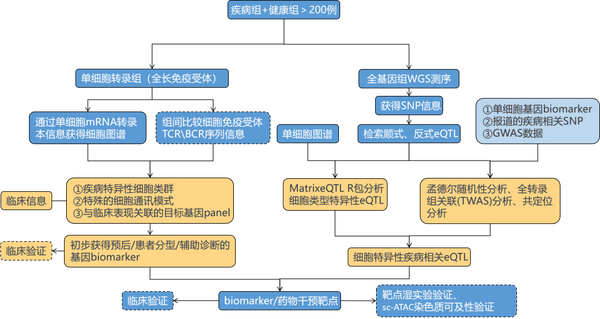 单细胞eQTL分析 | 启航单细胞多组学大数据时代 - 知乎