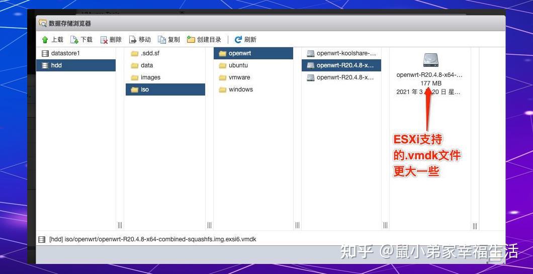 【使用教程】Vmware-EXSI下的OpenWrt虚拟机的安装与旁路由配置详细指南 - 知乎