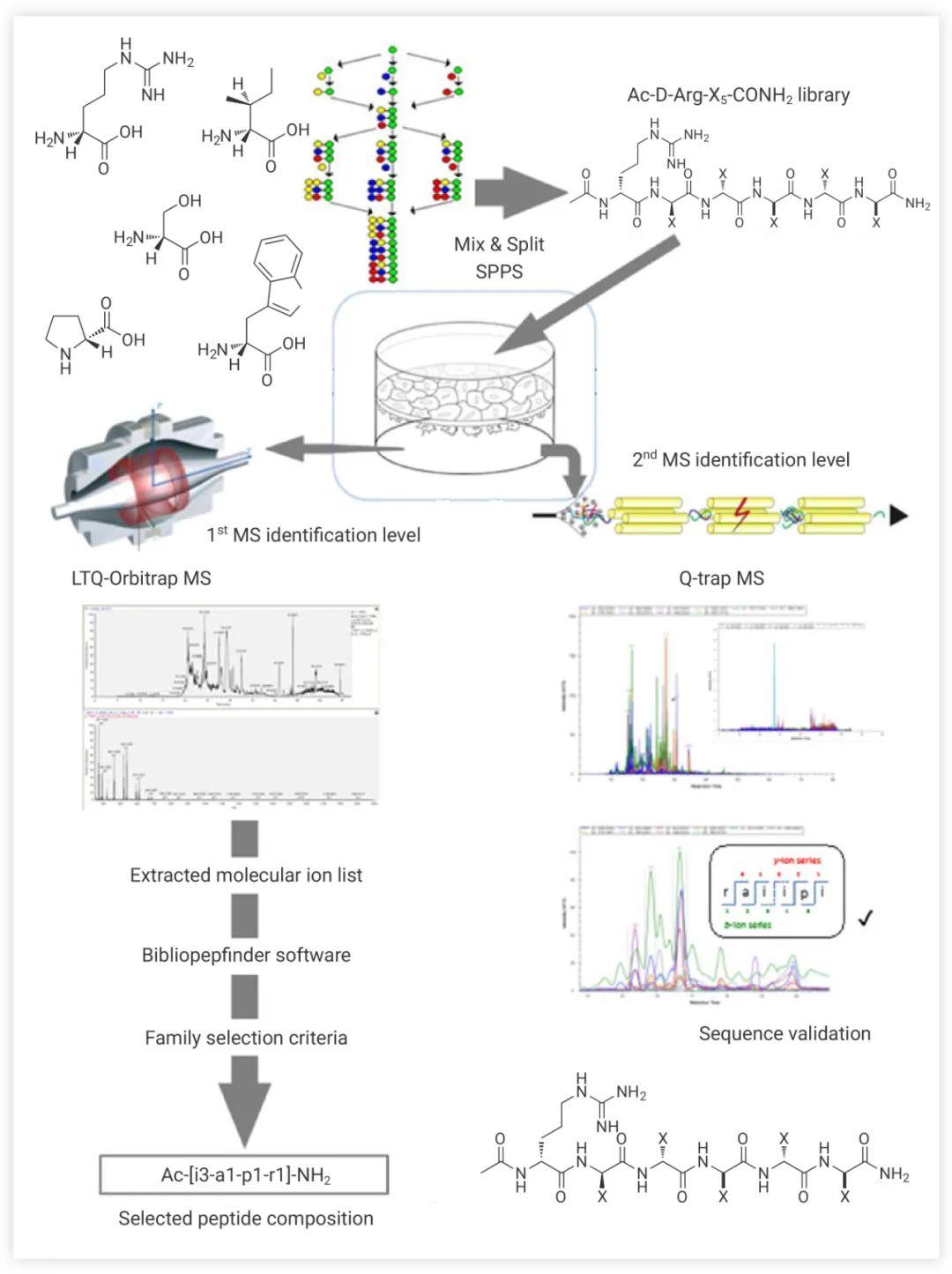 多肽——独特的药物 | MedChemExpress - 知乎