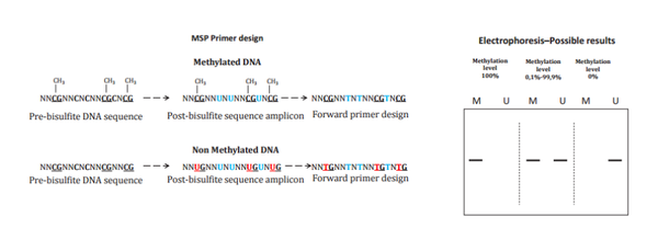 DNA甲基化分析 - 知乎