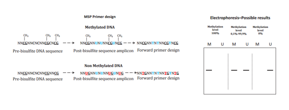 DNA甲基化分析 - 知乎