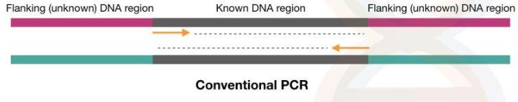 SnapGene操作指南 | 反向PCR - 知乎